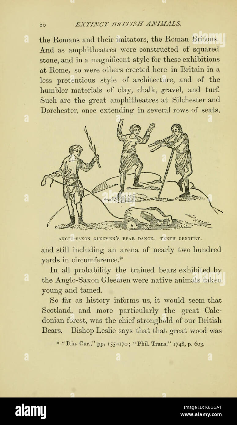 British animals extinct within historic times BHL12328670 Stock Photo ...