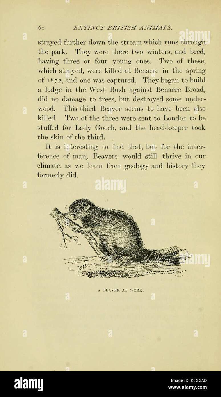 This work documents animals native to Britain that became extinct ...