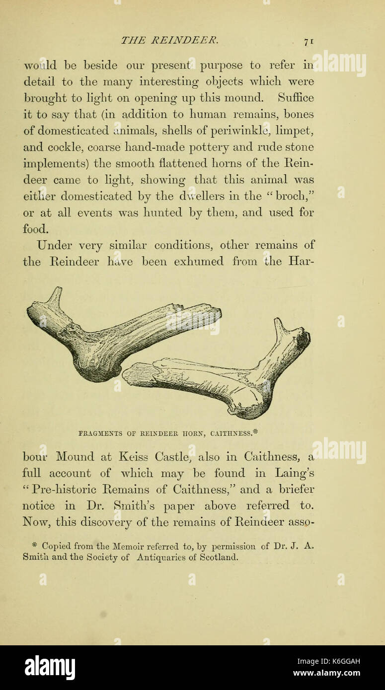 British animals extinct within historic times BHL12328744 Stock Photo ...