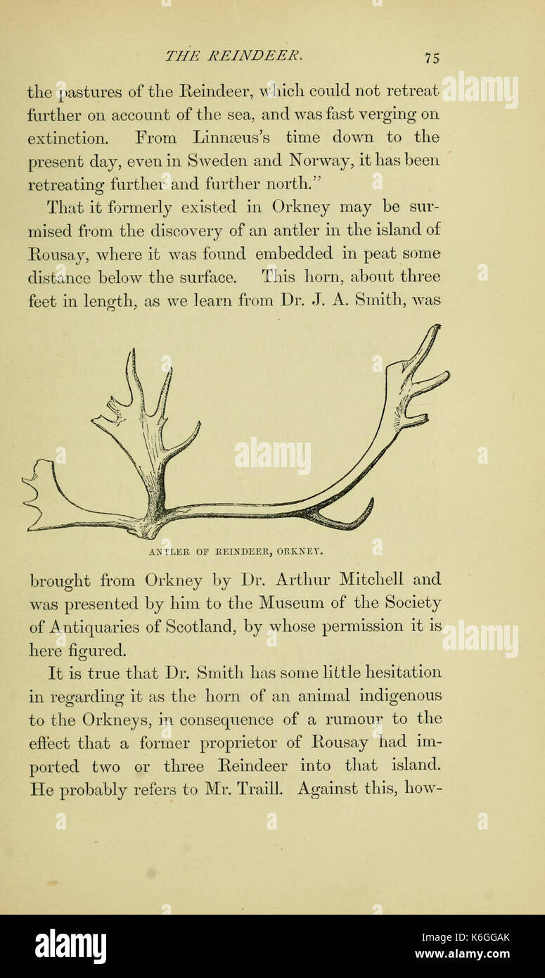 British animals extinct within historic times BHL12328748 Stock Photo ...