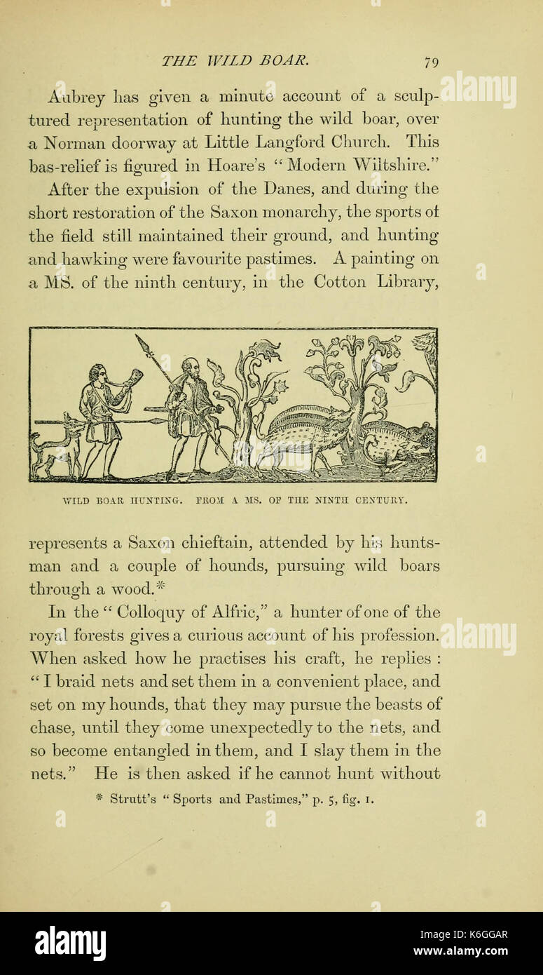 British animals extinct within historic times BHL12328752 Stock Photo ...