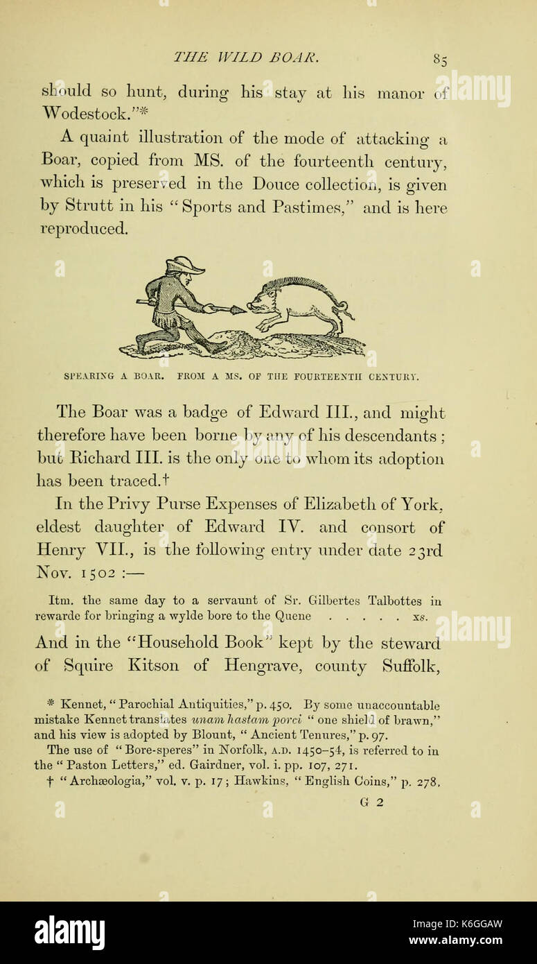 British animals extinct within historic times BHL12328758 Stock Photo ...