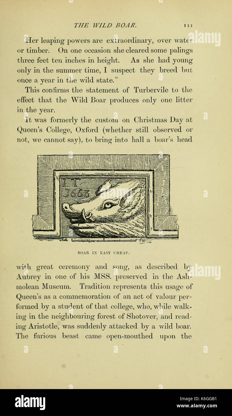 British animals extinct within historic times BHL12328784 Stock Photo ...