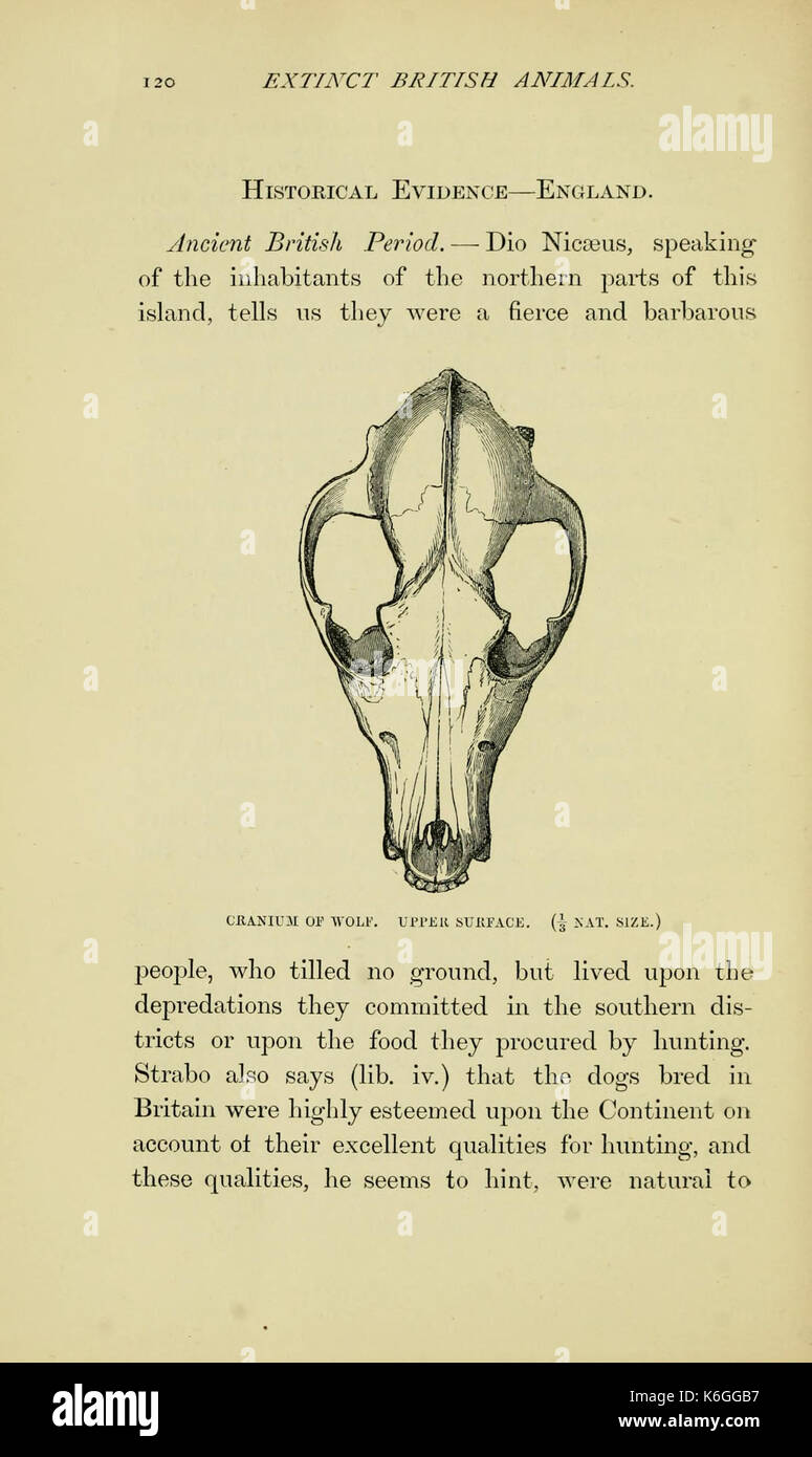 British animals extinct within historic times BHL12328793 Stock Photo ...
