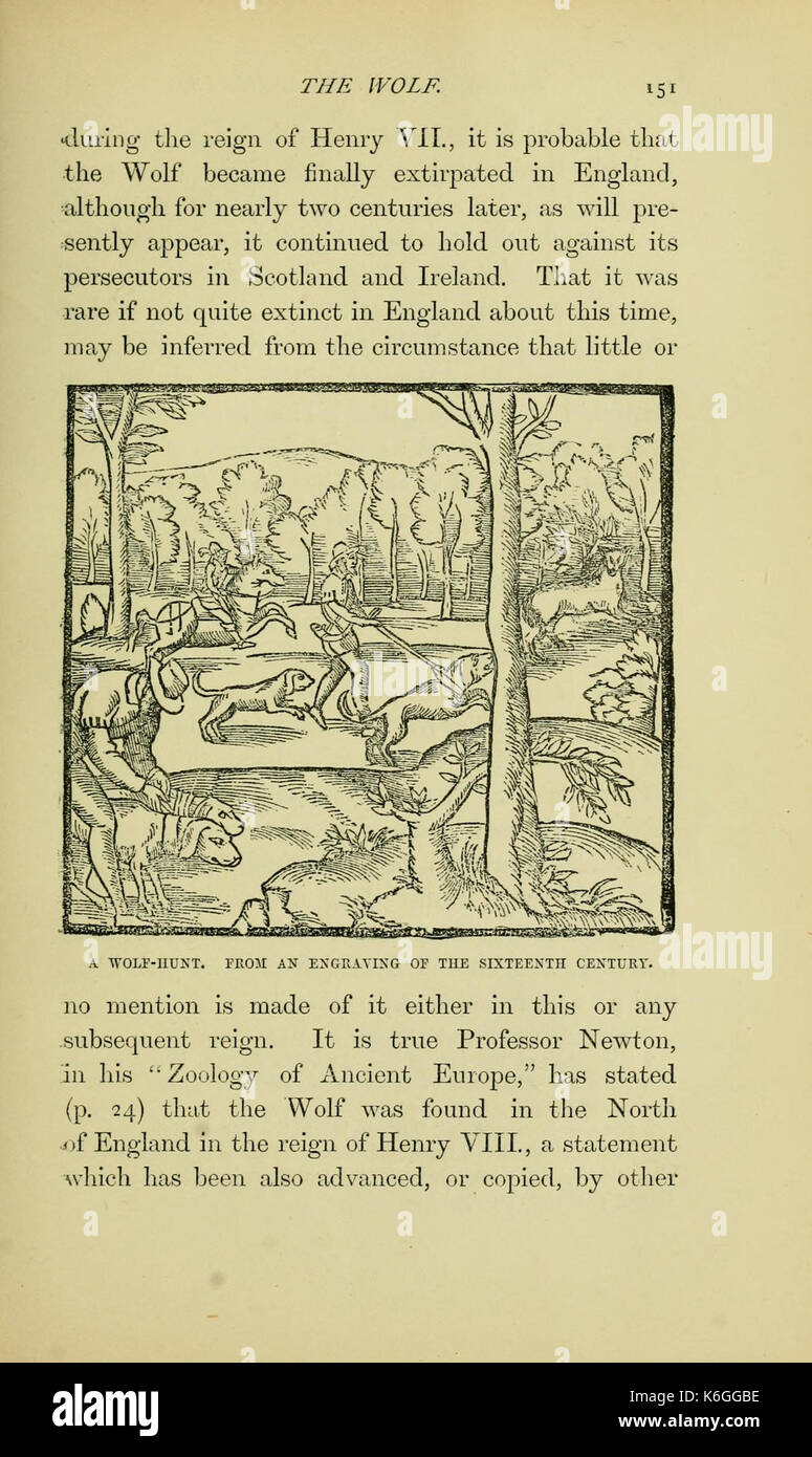 British animals extinct within historic times BHL12328824 Stock Photo ...