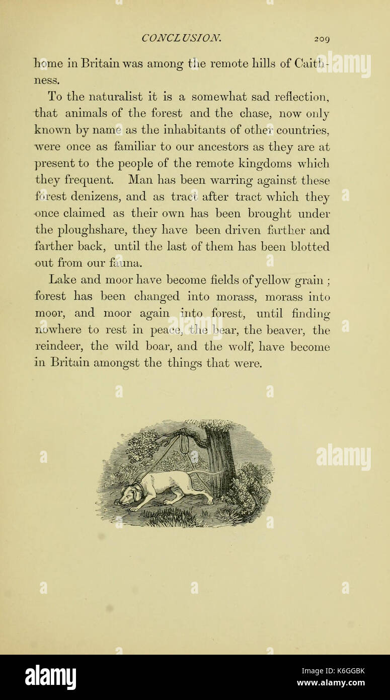 British animals extinct within historic times BHL12328882 Stock Photo ...