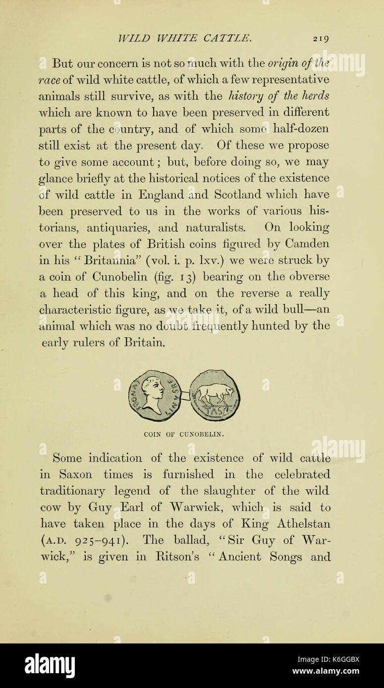 British animals extinct within historic times BHL12328892 Stock Photo ...