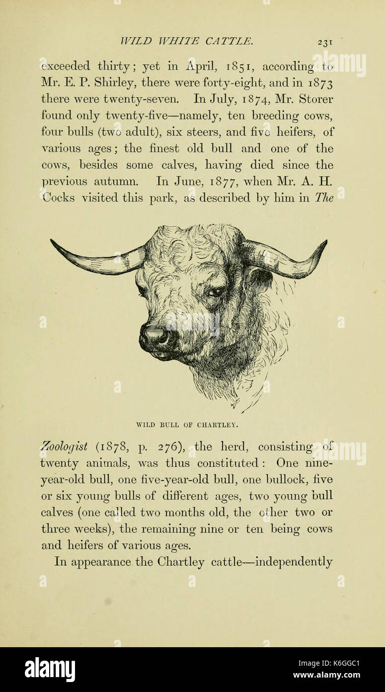 British animals extinct within historic times BHL12328904 Stock Photo ...