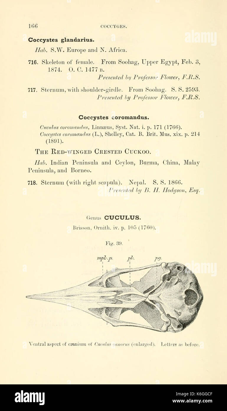 Catalogue of the specimens illustrating the osteology of vertebrated ...