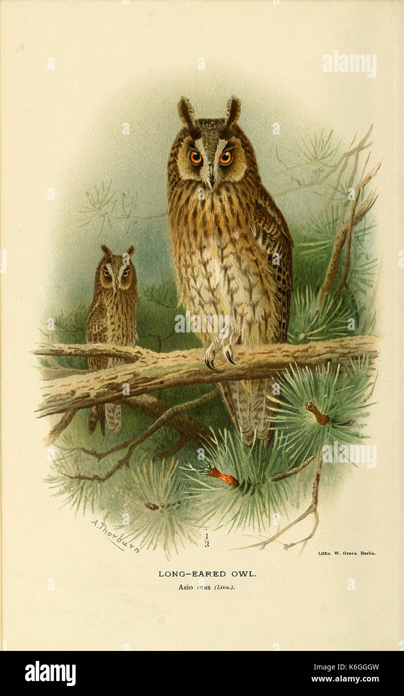 Coloured figures of the birds of the British Islands issued by Lord ...