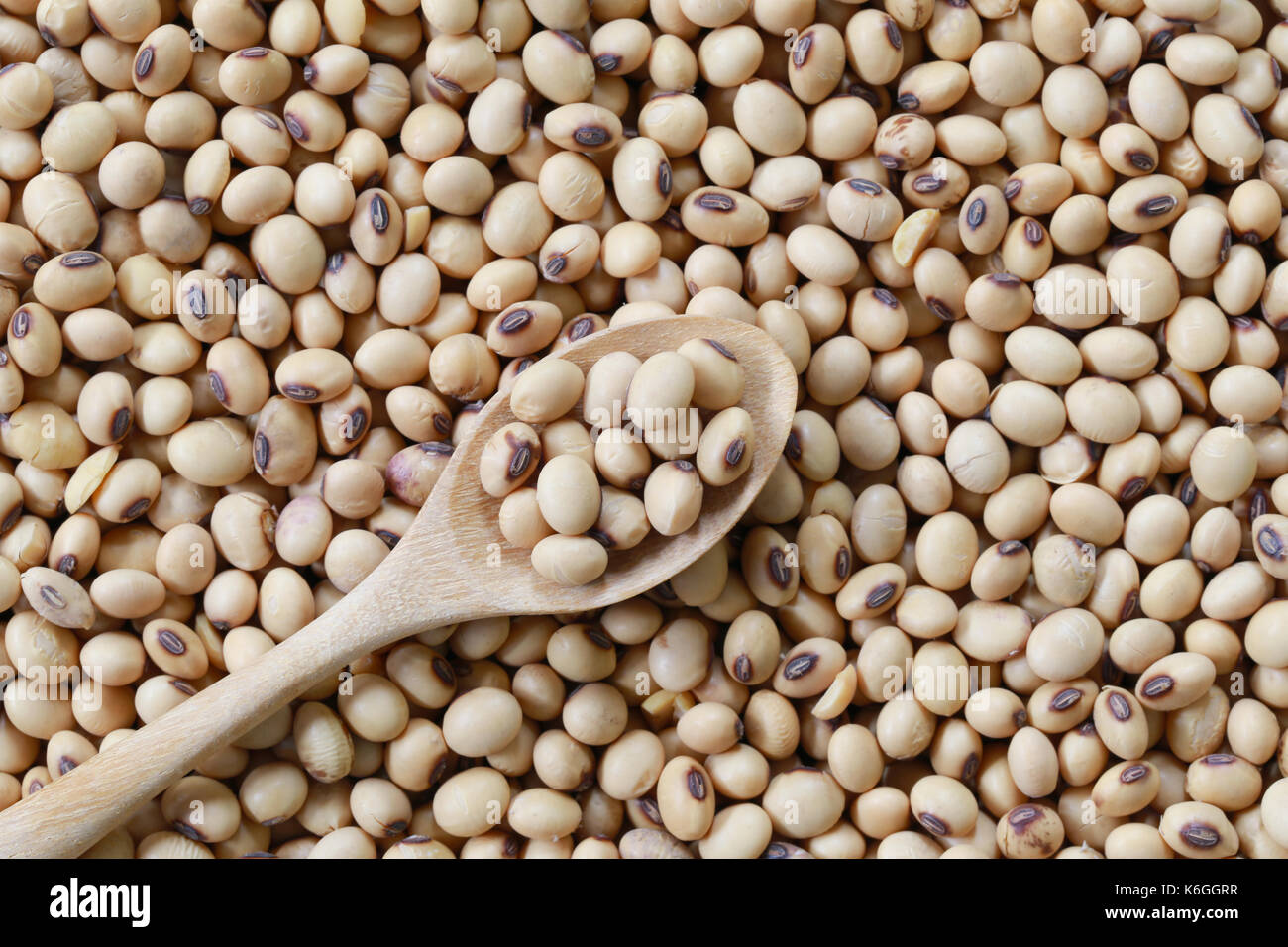 Soybean backdrop hi-res stock photography and images - Alamy