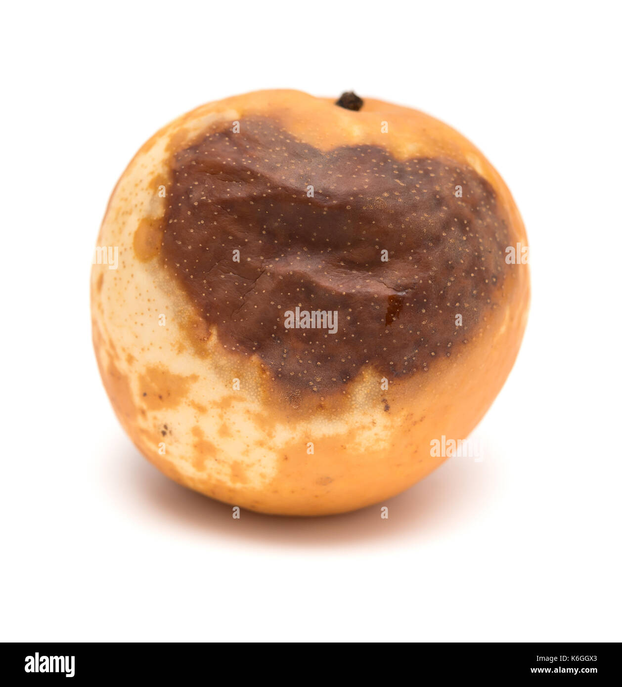 rotten pear on white background Stock Photo - Alamy