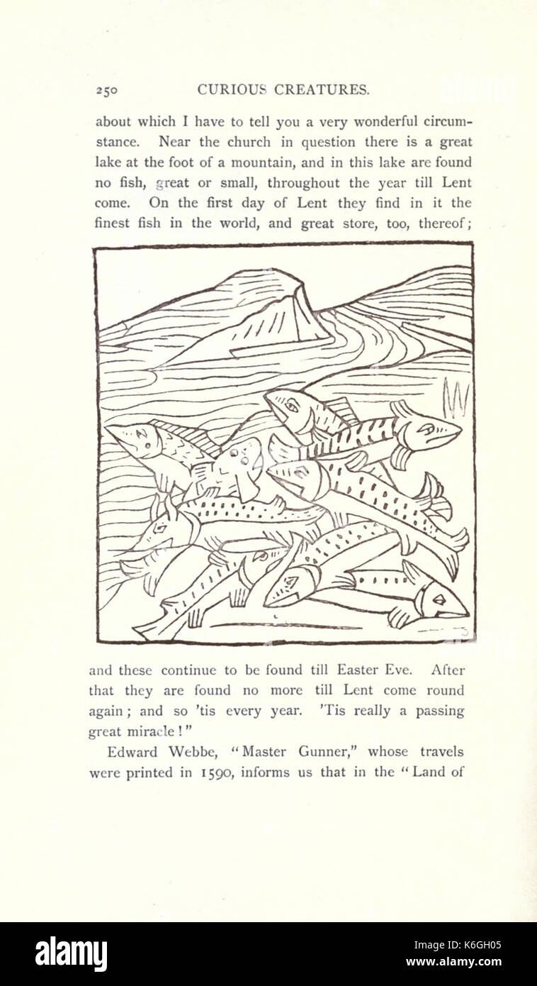 Curious creatures in zoology (Page 250) BHL23575005 Stock Photo - Alamy