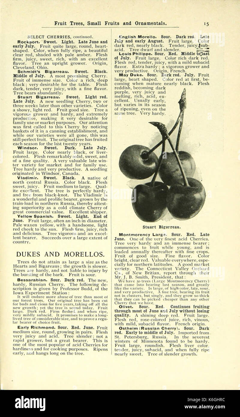 C.W. Stuart and Co. materials (Page 15) BHL47619814 Stock Photo - Alamy