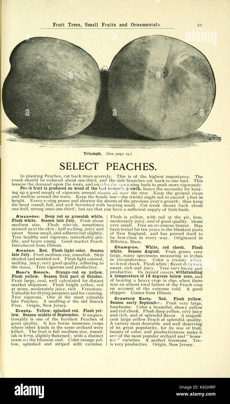 C.W. Stuart and Co. materials (Page 21) BHL47619808 Stock Photo - Alamy