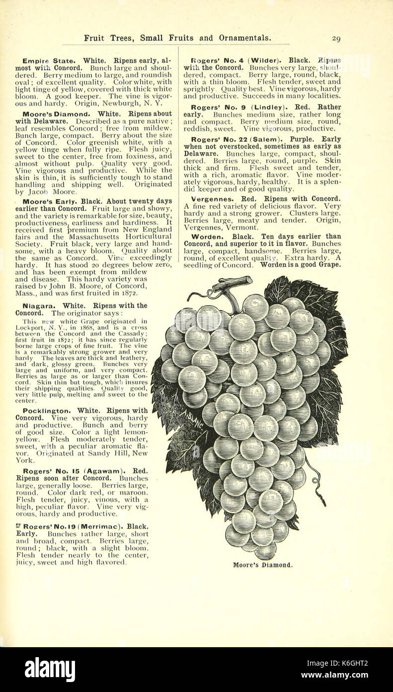 C.W. Stuart and Co. materials (Page 29) BHL47619800 Stock Photo - Alamy
