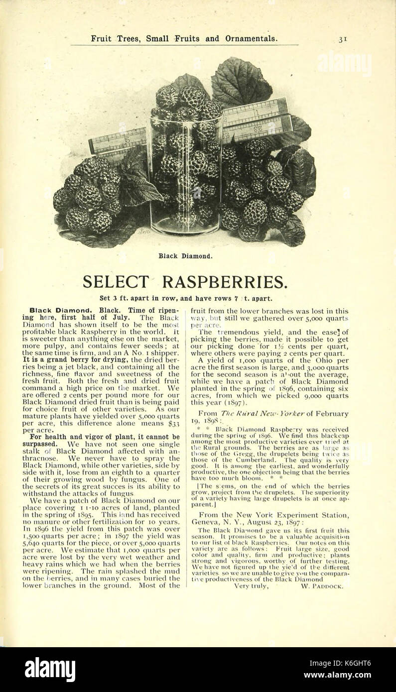 C.W. Stuart and Co. materials (Page 31) BHL47619798 Stock Photo - Alamy