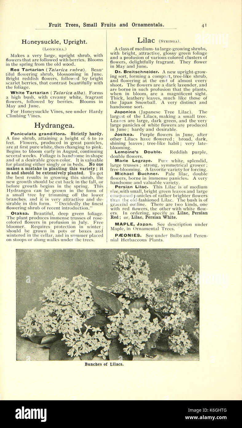 C.W. Stuart and Co. materials (Page 41) BHL47619788 Stock Photo - Alamy