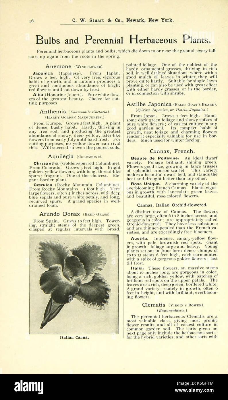 C.W. Stuart and Co. materials (Page 46) BHL47619783 Stock Photo - Alamy