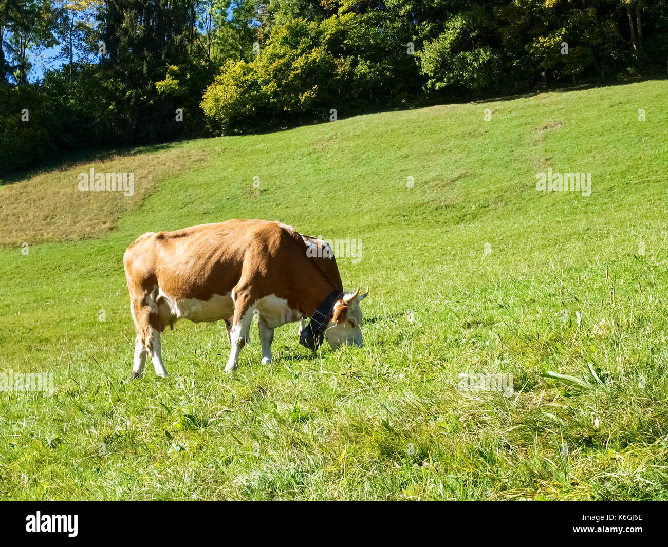 Farmland on steep slopes hi-res stock photography and images - Alamy