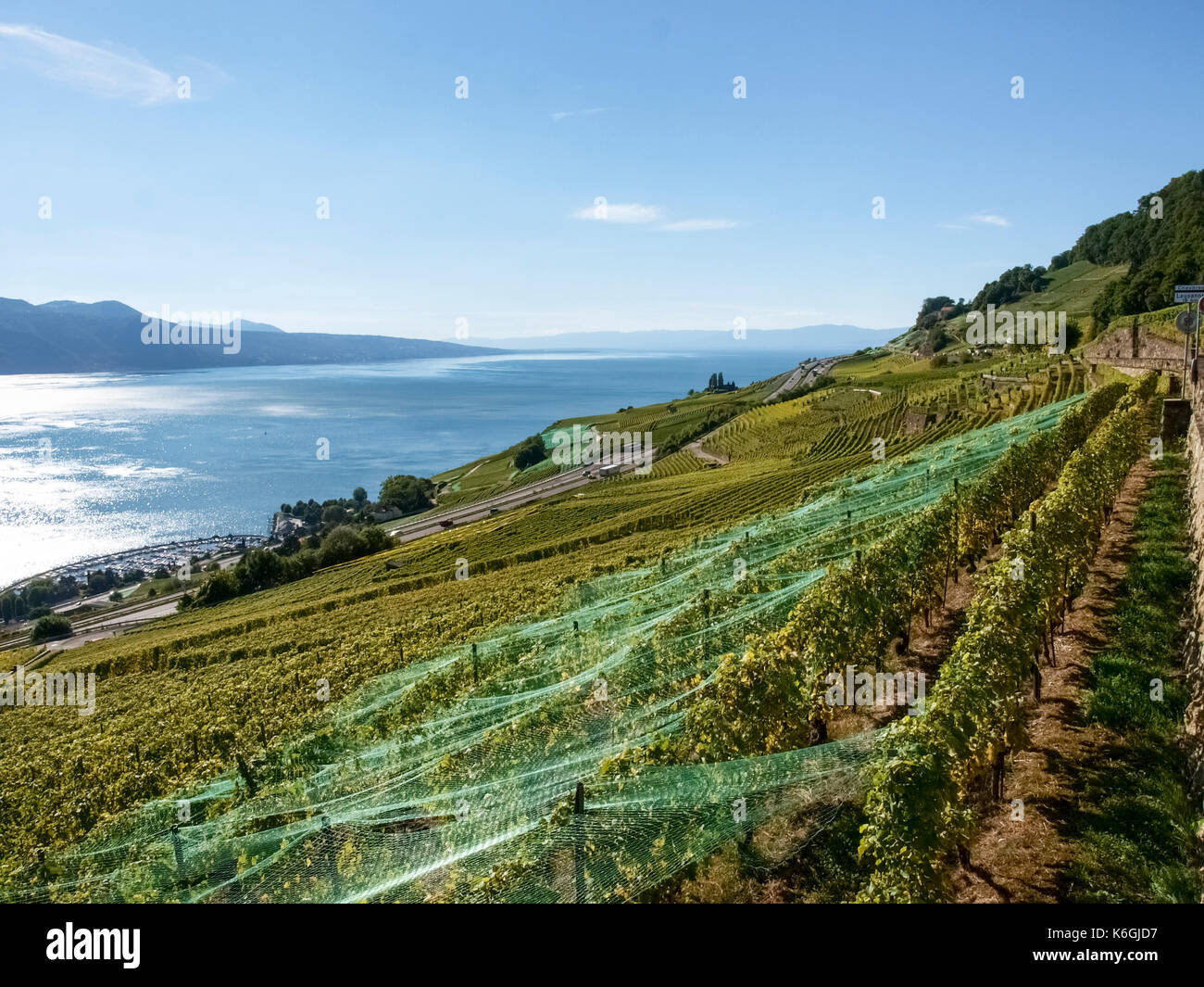 Lavaux, Switzerland: Landscape of Lavaux Vineyard Terrace hiking trail ...