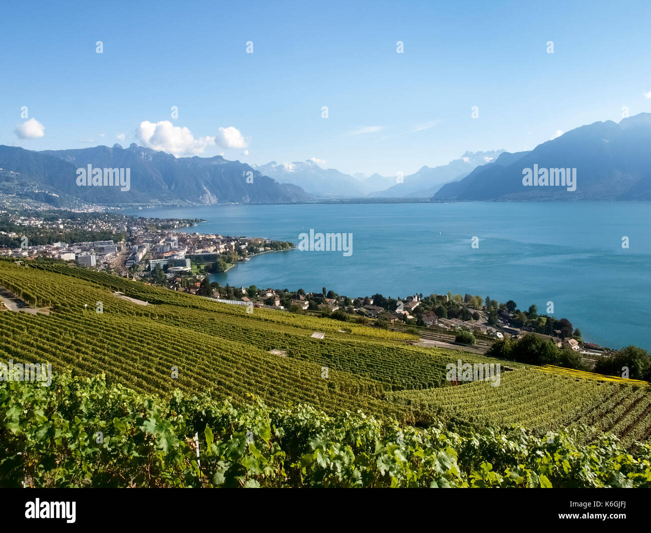 Lavaux, Switzerland: Landscape of Lavaux Vineyard Terrace hiking trail ...