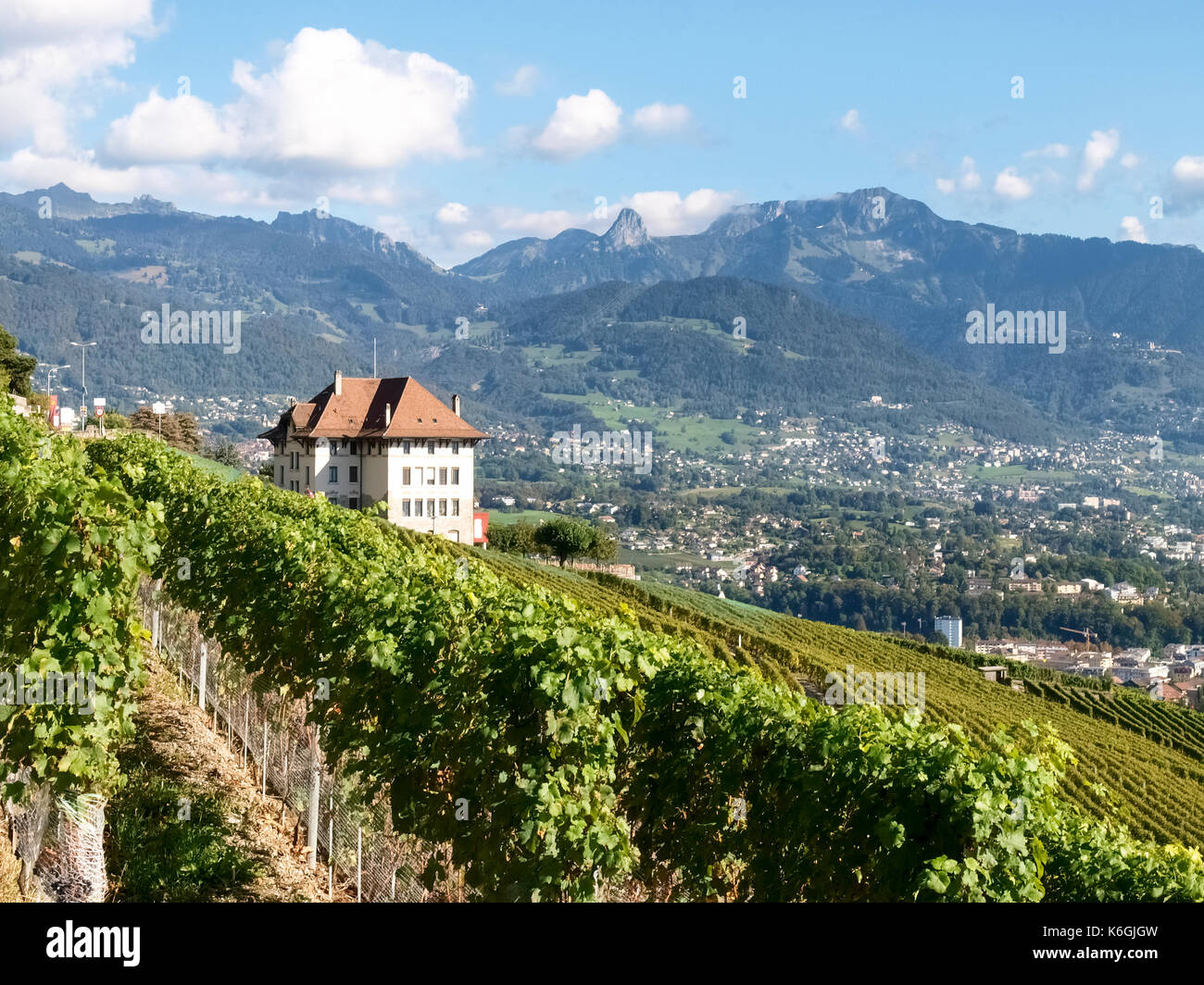 Lavaux, Switzerland: Landscape of Lavaux Vineyard Terrace hiking trail ...