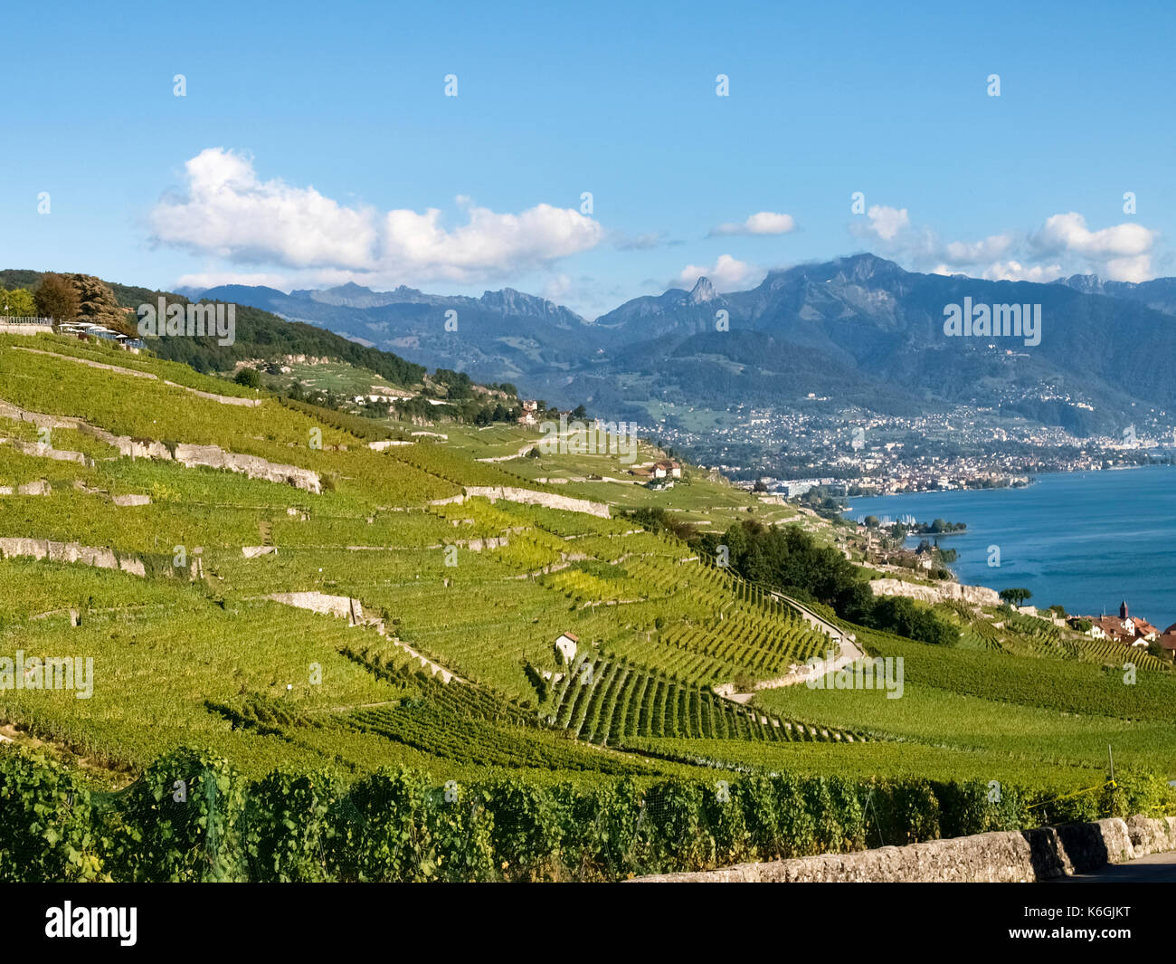 Lavaux, Switzerland: Landscape of Lavaux Vineyard Terrace hiking trail ...