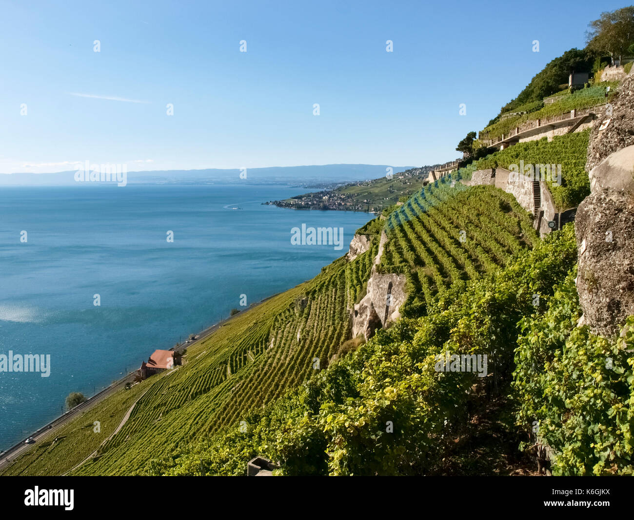 Lavaux, Switzerland: Landscape of Lavaux Vineyard Terrace hiking trail ...