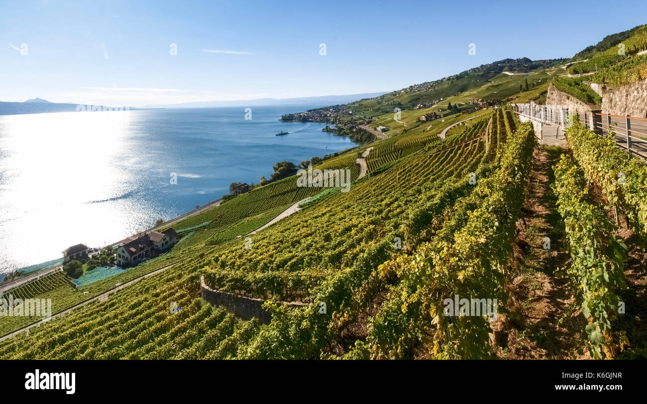 Lavaux, Switzerland: Landscape of Lavaux Vineyard Terrace hiking trail ...