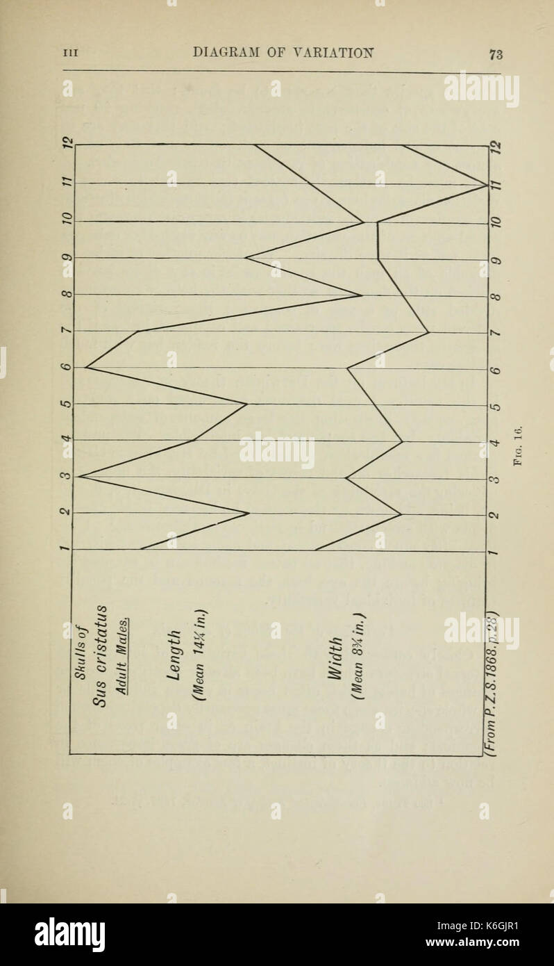 This Page From A Text On Darwinism Discusses Charles Darwins Theory Of Evolution Focusing On