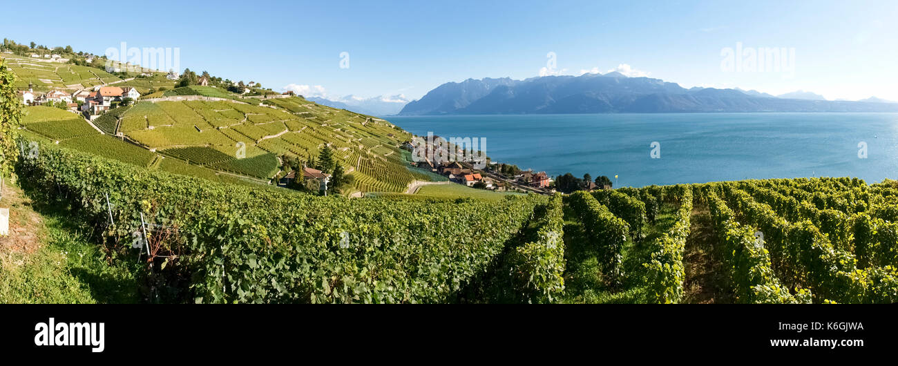 Lavaux, Switzerland: Landscape of Lavaux Vineyard Terrace hiking trail ...