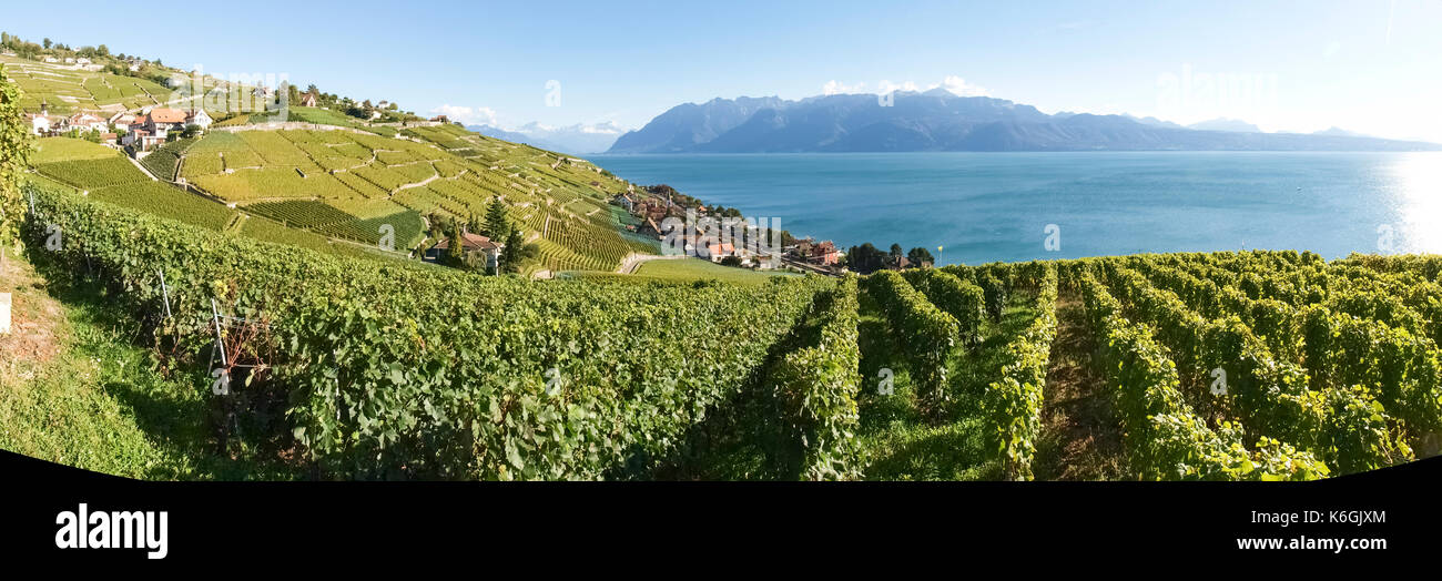Lavaux, Switzerland: Landscape of Lavaux Vineyard Terrace hiking trail ...