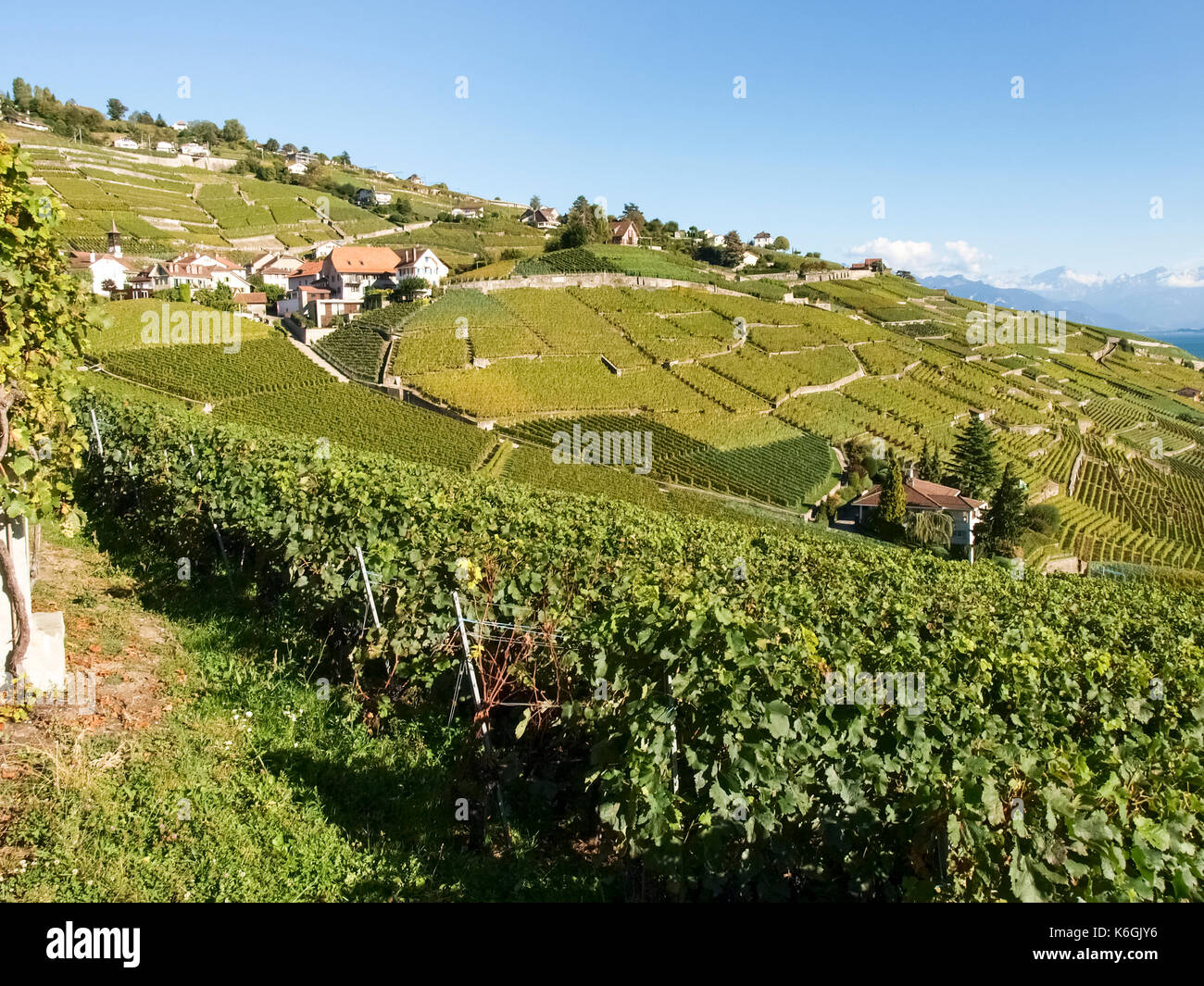 Lavaux, Switzerland: Landscape of Lavaux Vineyard Terrace hiking trail ...