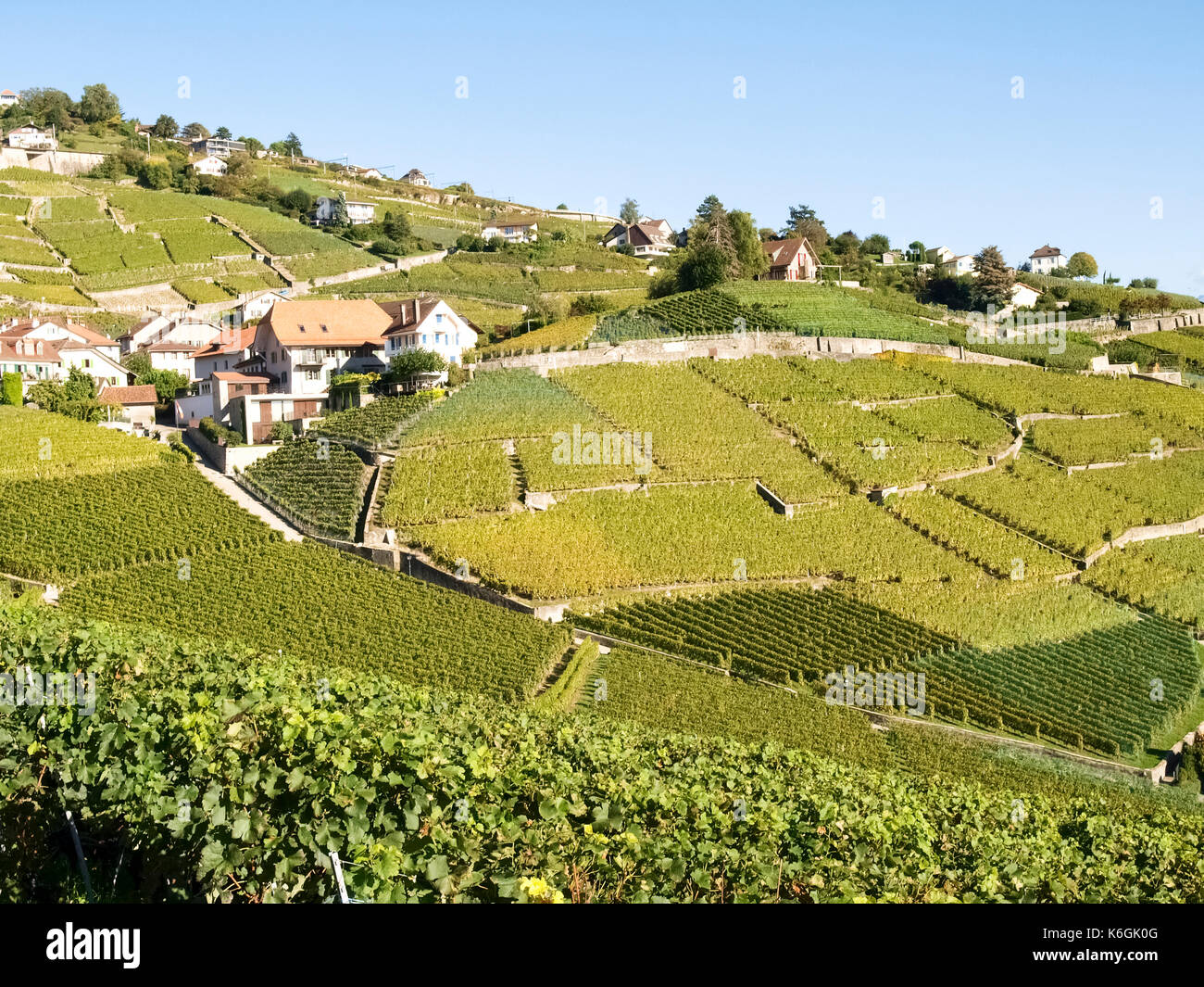 Lavaux, Switzerland: Landscape of Lavaux Vineyard Terrace hiking trail ...