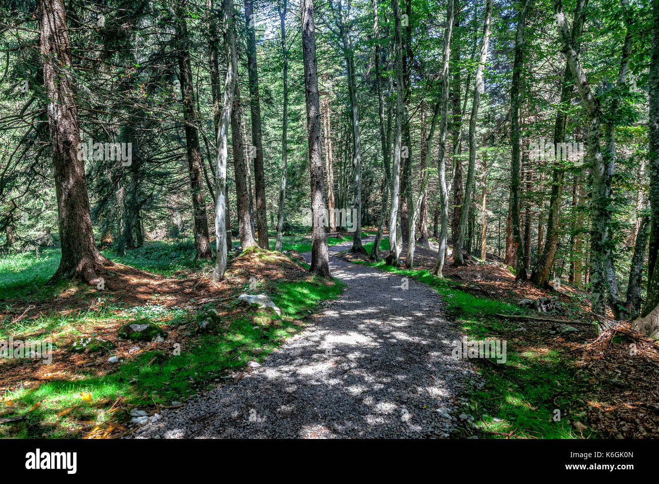 sciury pathway on italian alps trentino alto adige Stock Photo - Alamy