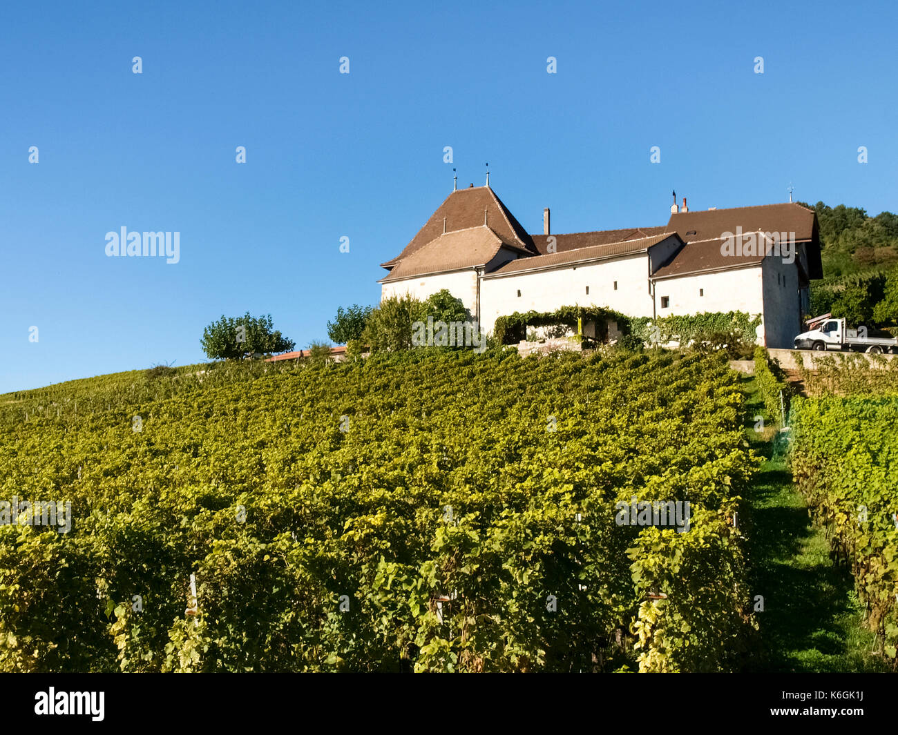 Lavaux, Switzerland: Landscape of Lavaux Vineyard Terrace hiking trail ...
