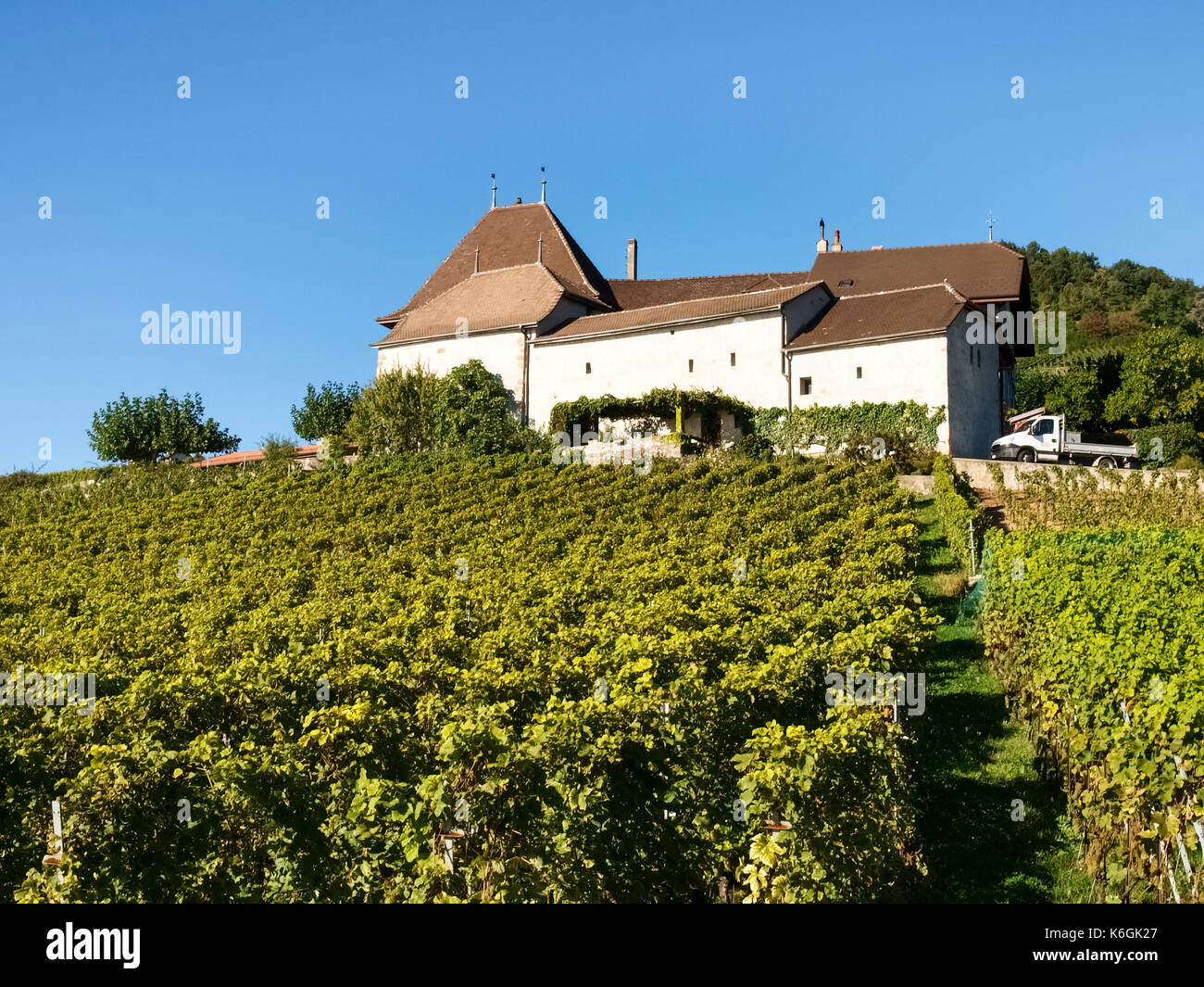 Lavaux, Switzerland: Landscape of Lavaux Vineyard Terrace hiking trail ...