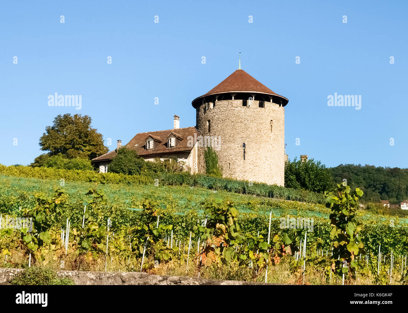 Lavaux, Switzerland: Landscape of Lavaux Vineyard Terrace hiking trail ...
