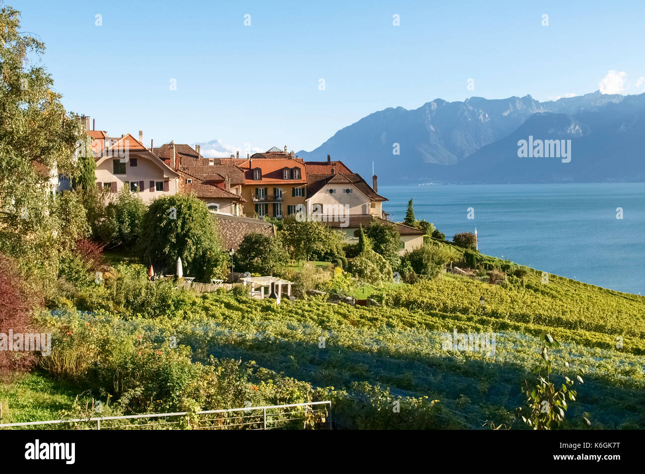 Lavaux, Switzerland: Landscape of Lavaux Vineyard Terrace hiking trail ...