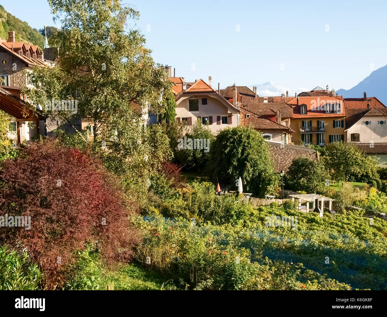 Lavaux, Switzerland: Landscape of Lavaux Vineyard Terrace hiking trail ...