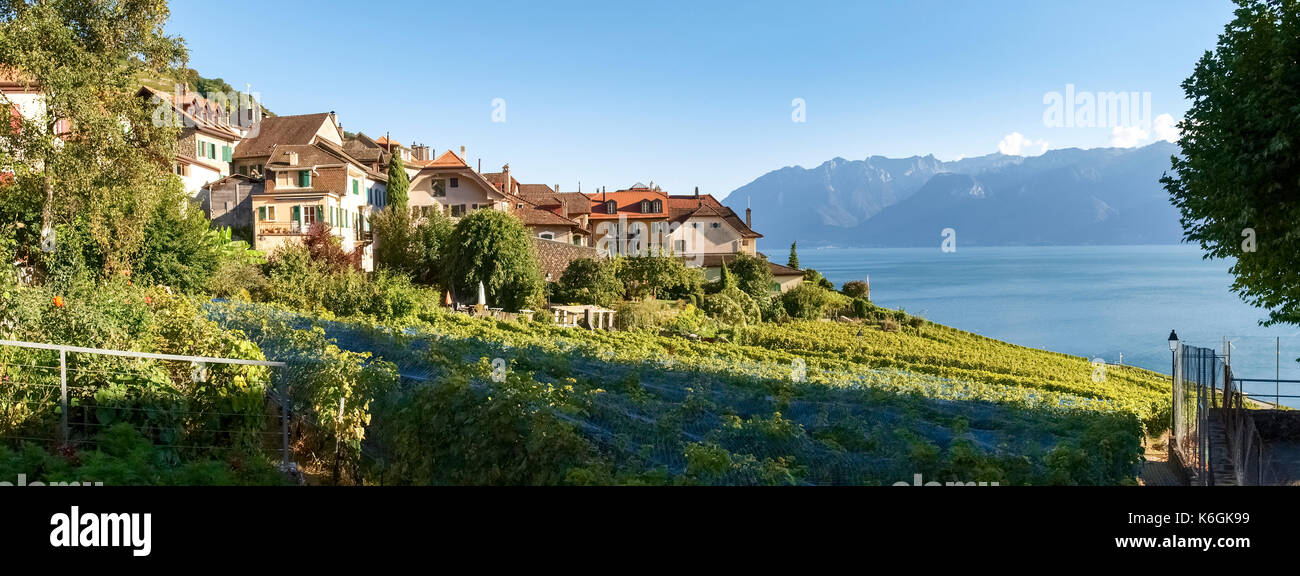 Lavaux, Switzerland: Landscape of Lavaux Vineyard Terrace hiking trail ...