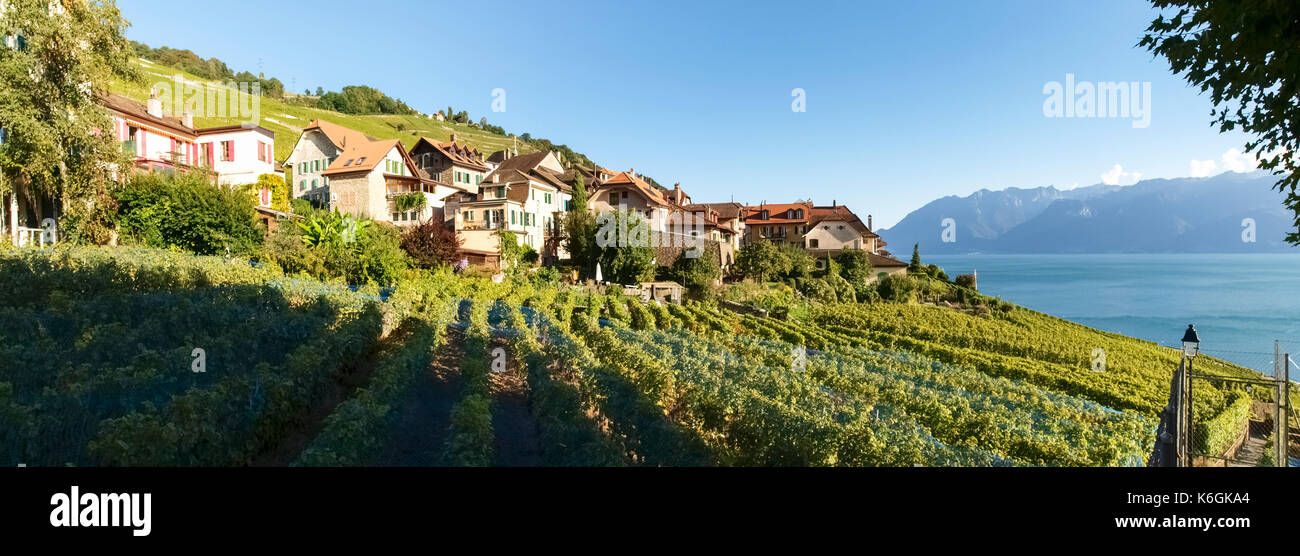 Lavaux, Switzerland: Landscape of Lavaux Vineyard Terrace hiking trail ...