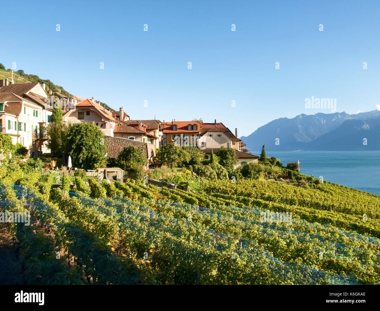 Lavaux, Switzerland: Landscape of Lavaux Vineyard Terrace hiking trail ...