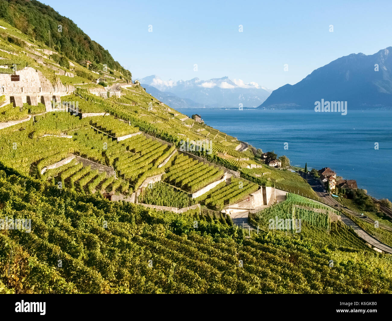Lavaux, Switzerland: Landscape of Lavaux Vineyard Terrace hiking trail ...