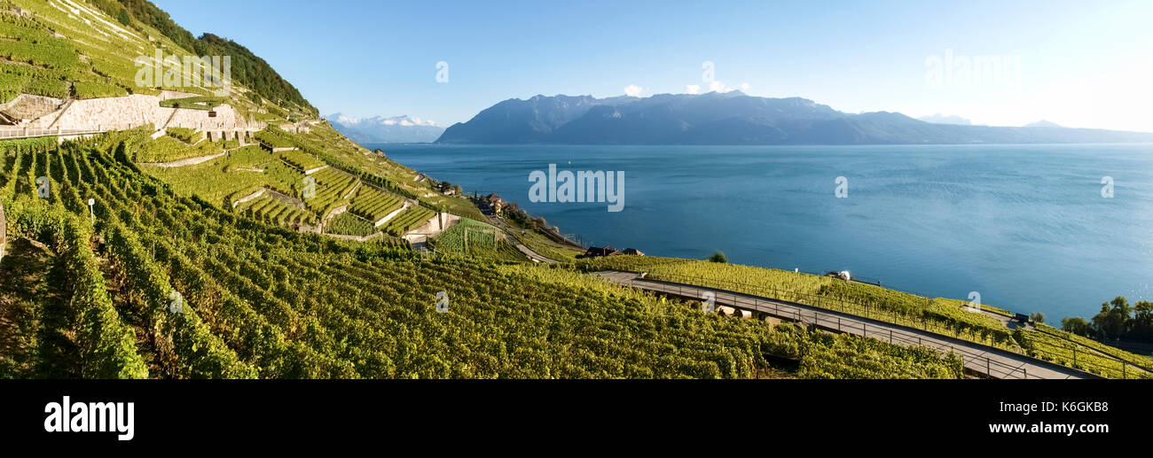 Lavaux, Switzerland: Landscape of Lavaux Vineyard Terrace hiking trail ...