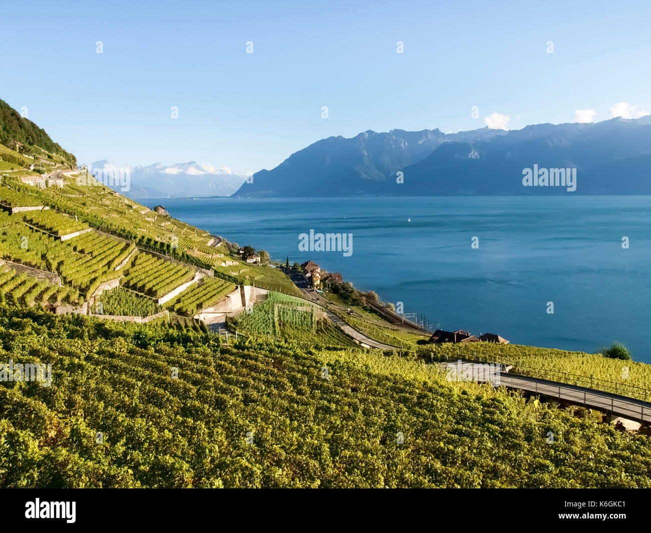 Lavaux, Switzerland: Landscape of Lavaux Vineyard Terrace hiking trail ...