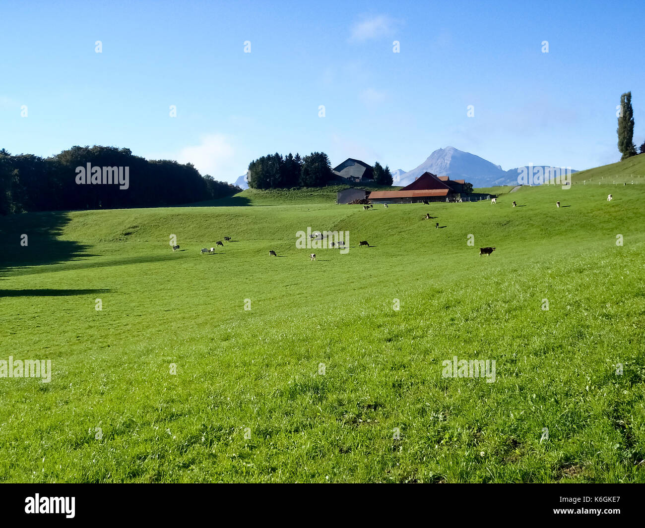 Lavaux, Switzerland: Landscape of Lavaux Vineyard Terrace hiking trail ...