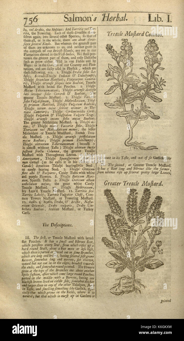 History of plants hi-res stock photography and images - Alamy