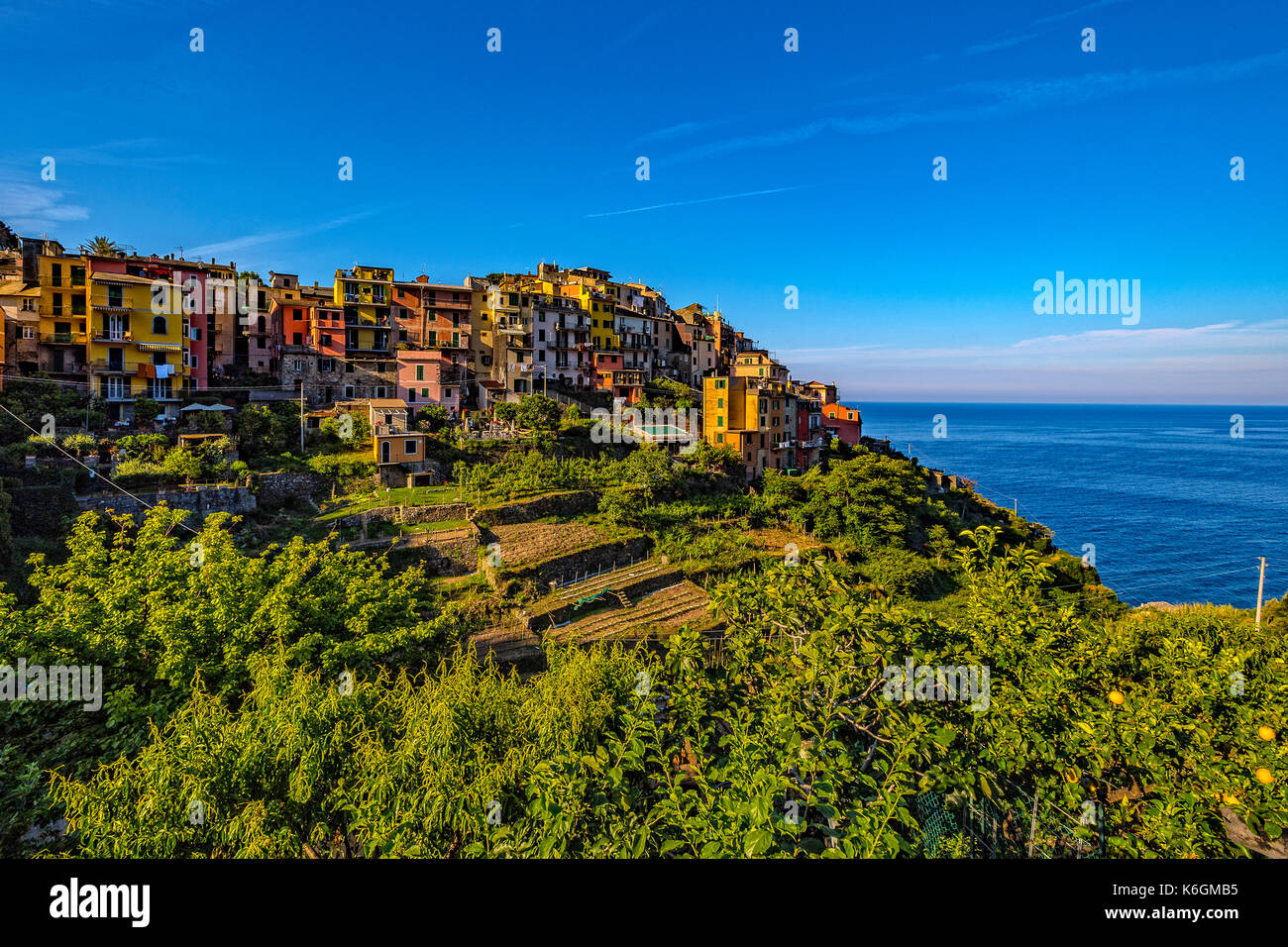 Italy Liguria 5 Terre National park - Corniglia Stock Photo - Alamy